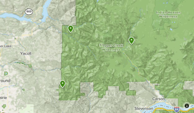 Gifford Pinchot forest & Mt St Helen’s wilderness | List | AllTrails