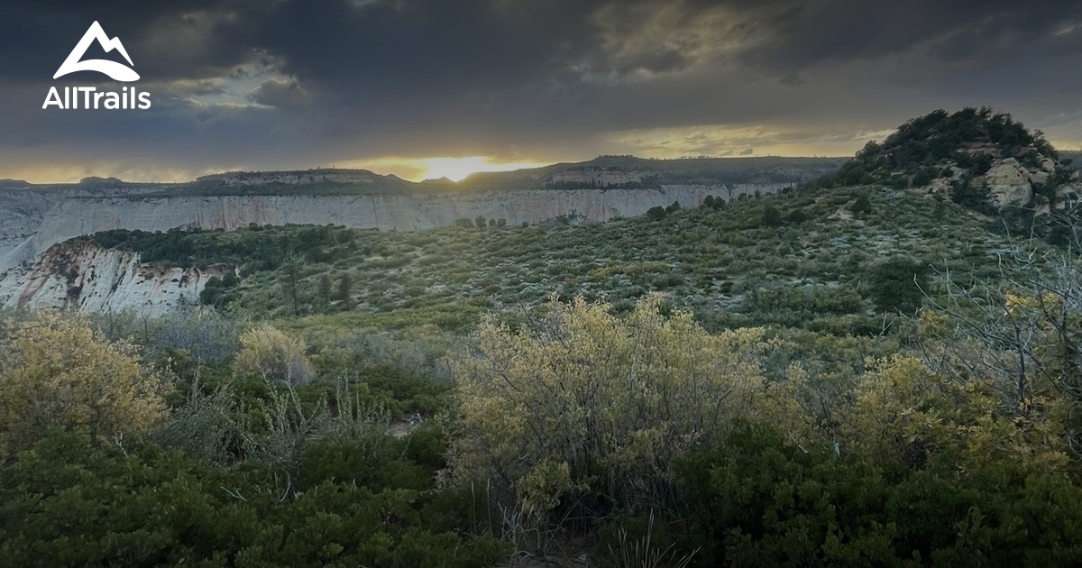 Partial Day Hikes | List | AllTrails