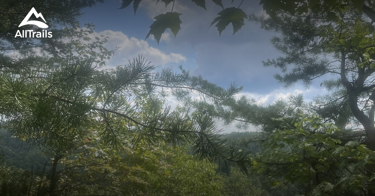 red river gorge + natural bridge | List | AllTrails