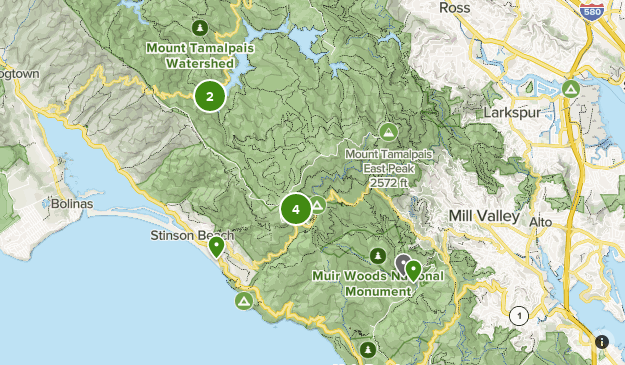 Muir Woods Hikes | List | AllTrails