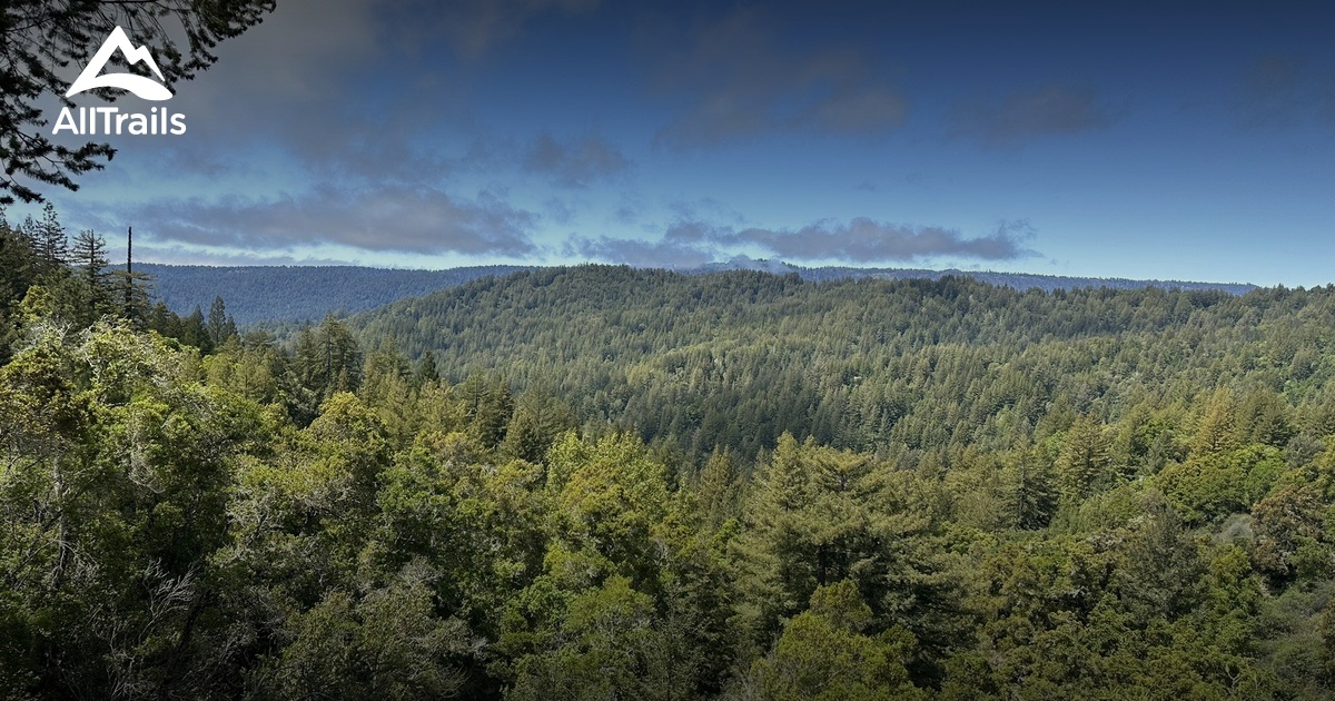 Bay Area hikes | List | AllTrails
