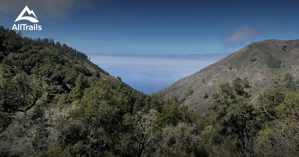 Southern Big Sur | List | AllTrails