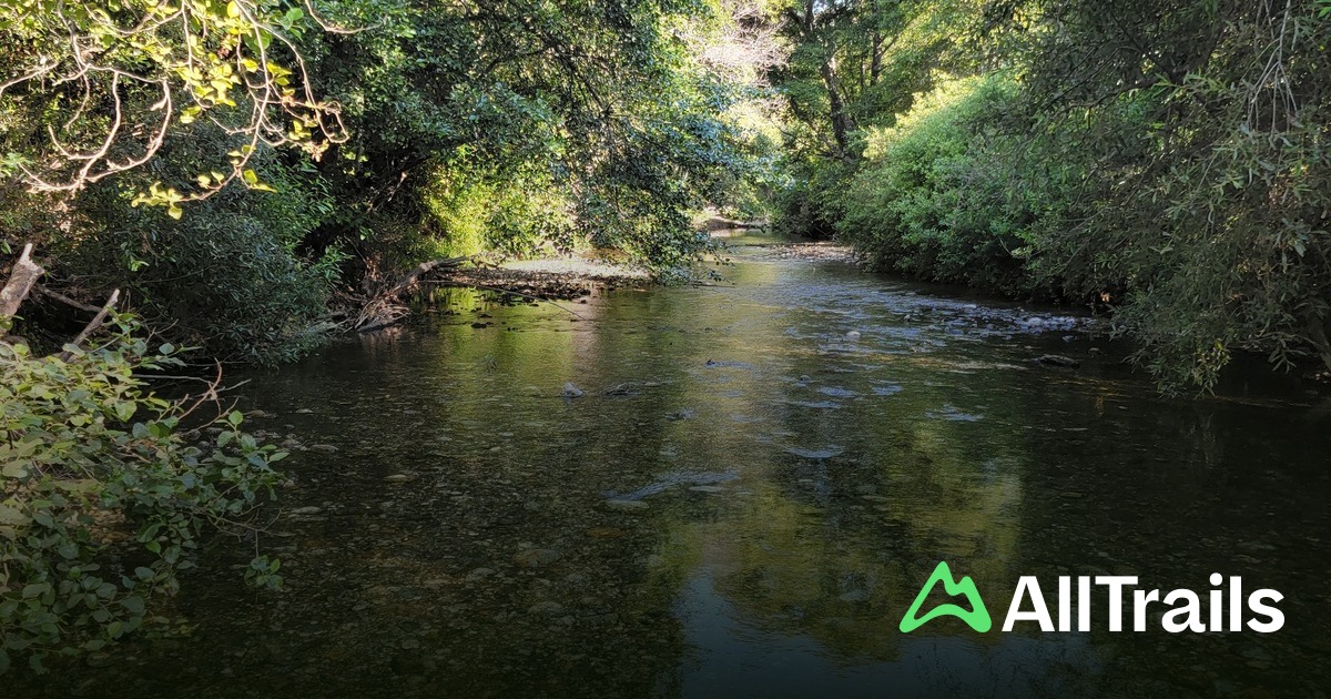 Big Sur | List | AllTrails