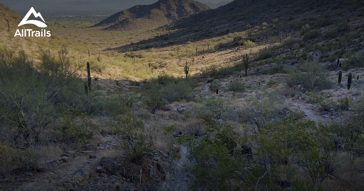 Phoenix MTN Preserve | List | AllTrails