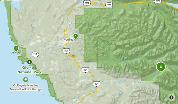 Hoh Rainforest | List | AllTrails