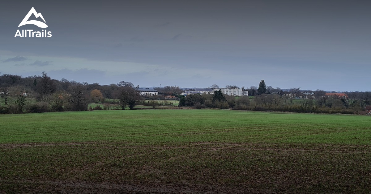 Walks Near The Old Bell, Grazeley Green | List | AllTrails