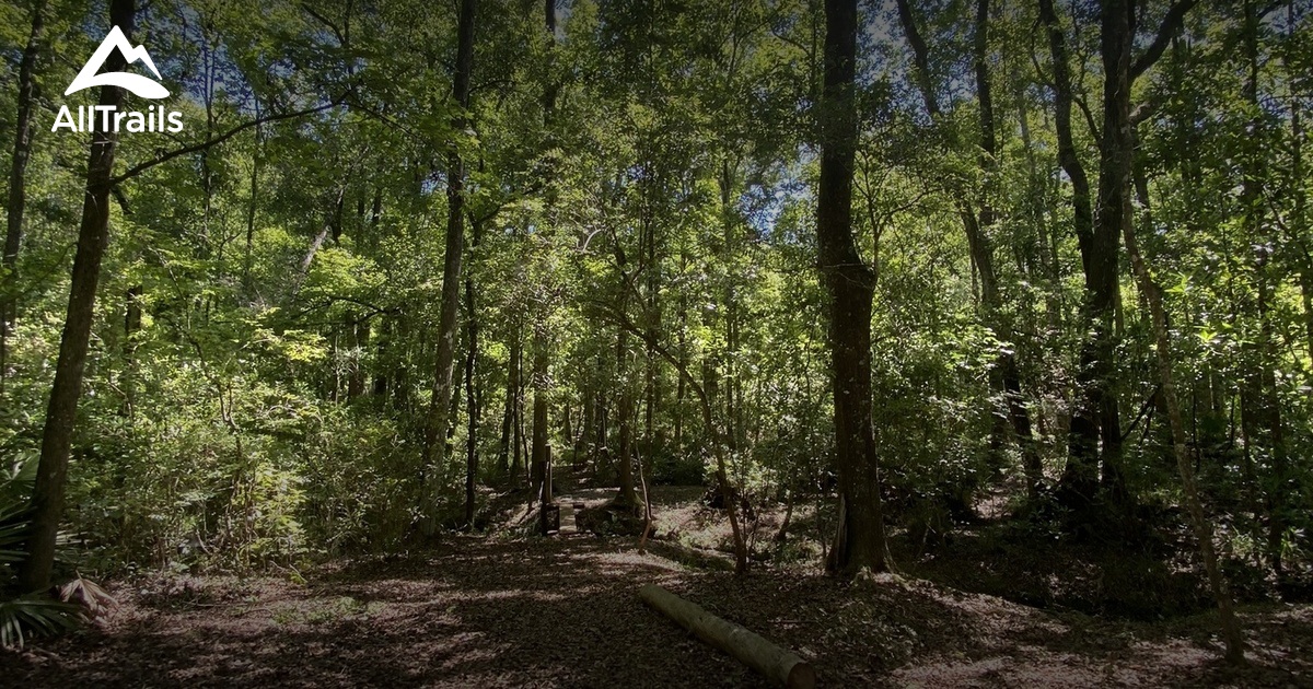 Jennings State Forest | List | AllTrails