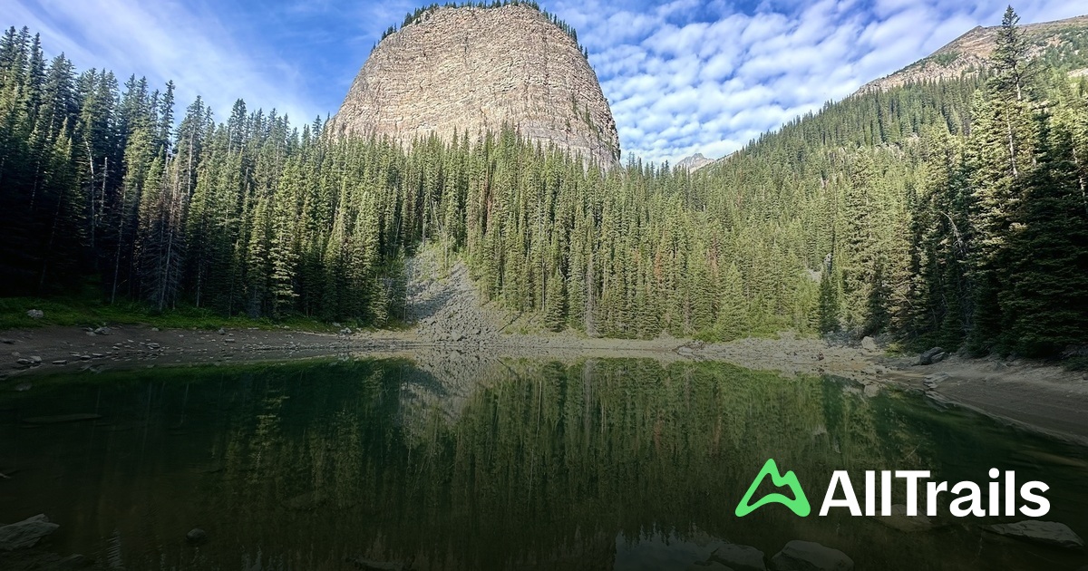 Banff Winter Hikes | List | AllTrails