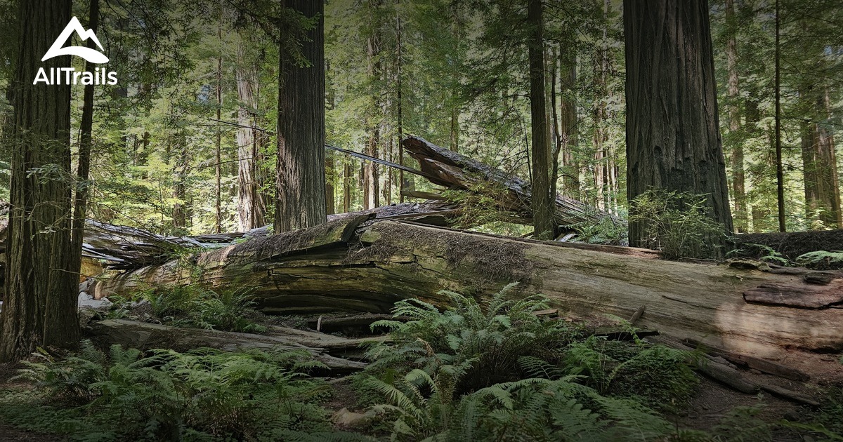 Ca state park | List | AllTrails