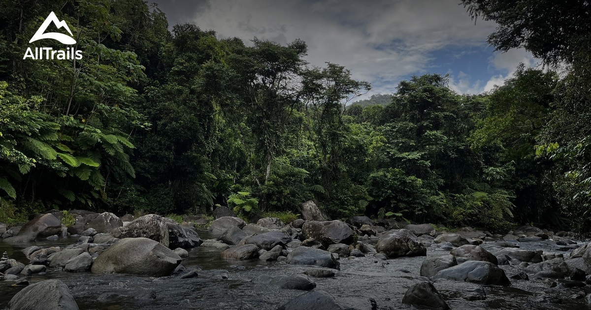 El Yunque | List | AllTrails