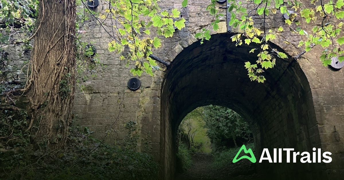 Walks Near George, Bathampton | List | AllTrails