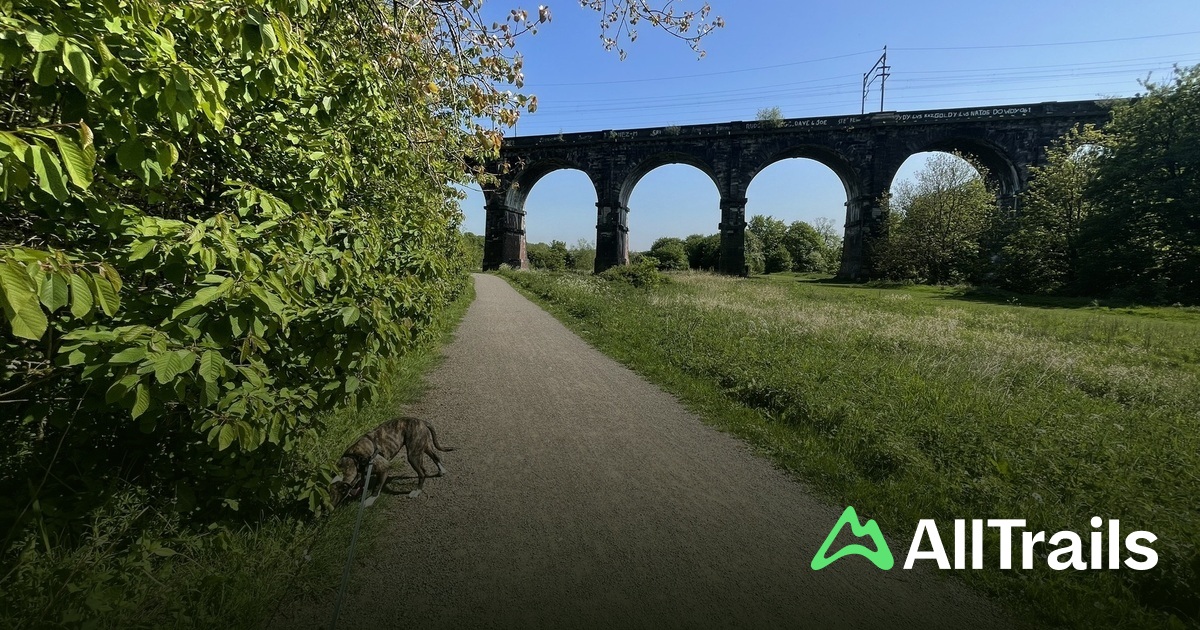 Walks Near The Swan, Winwick | List | AllTrails