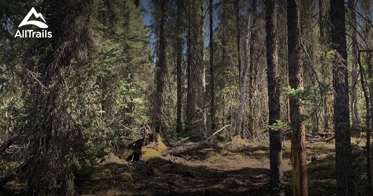 Nancy Lake Recreation Area | List | AllTrails