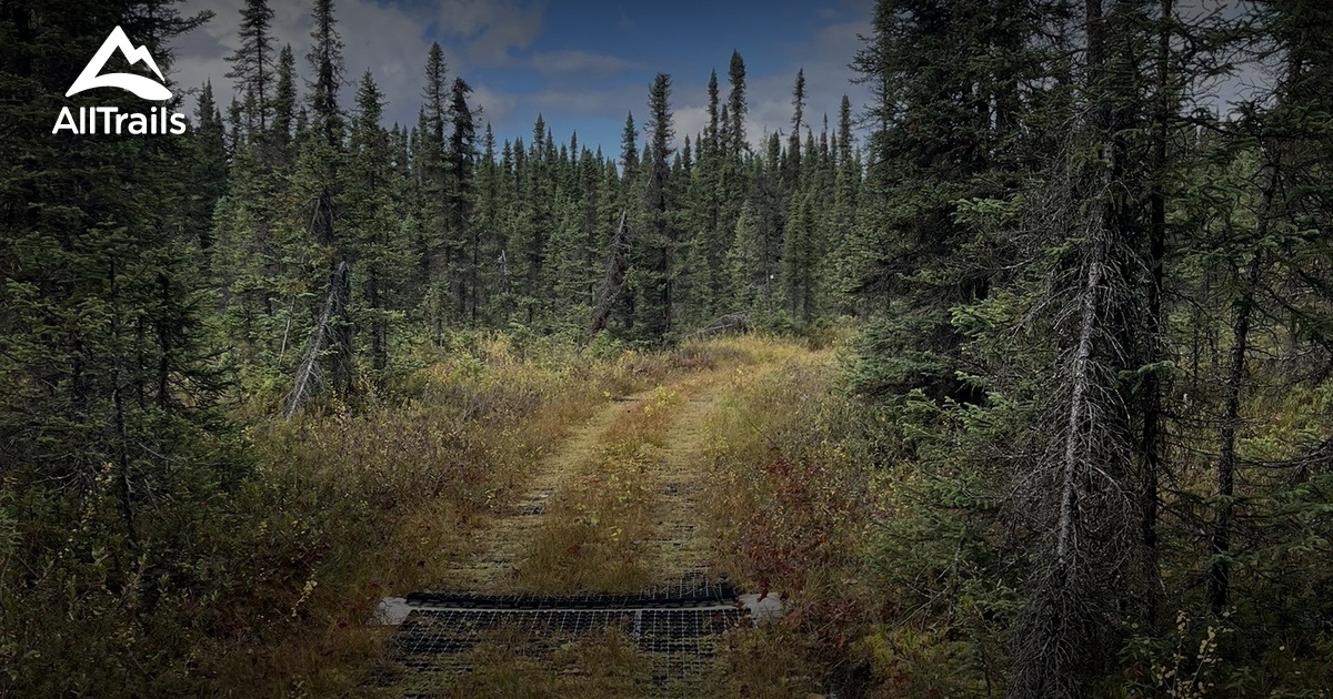 Nancy Lake Recreation Area | List | AllTrails