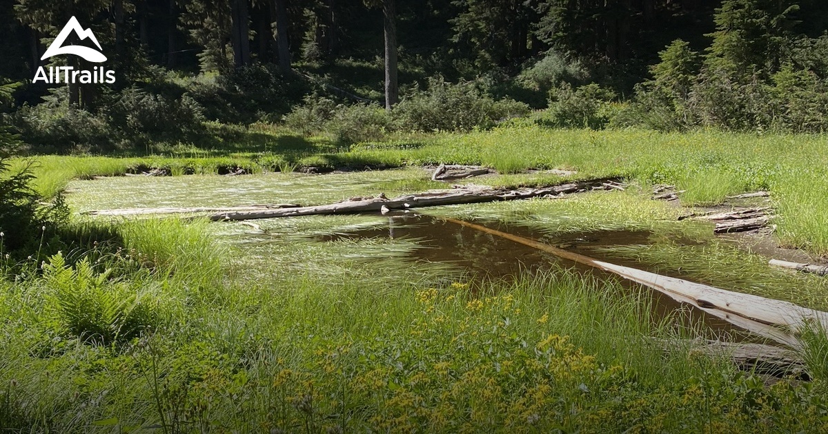 Darrington | List | AllTrails