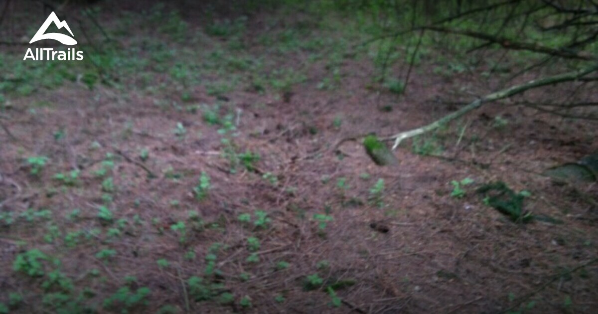 Cherokee National Forest | List | AllTrails