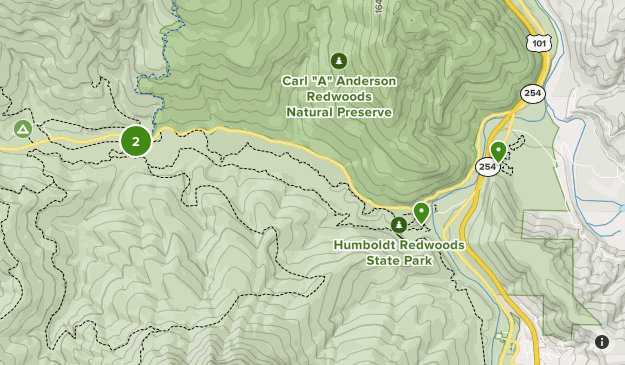 Redwoods | List | AllTrails