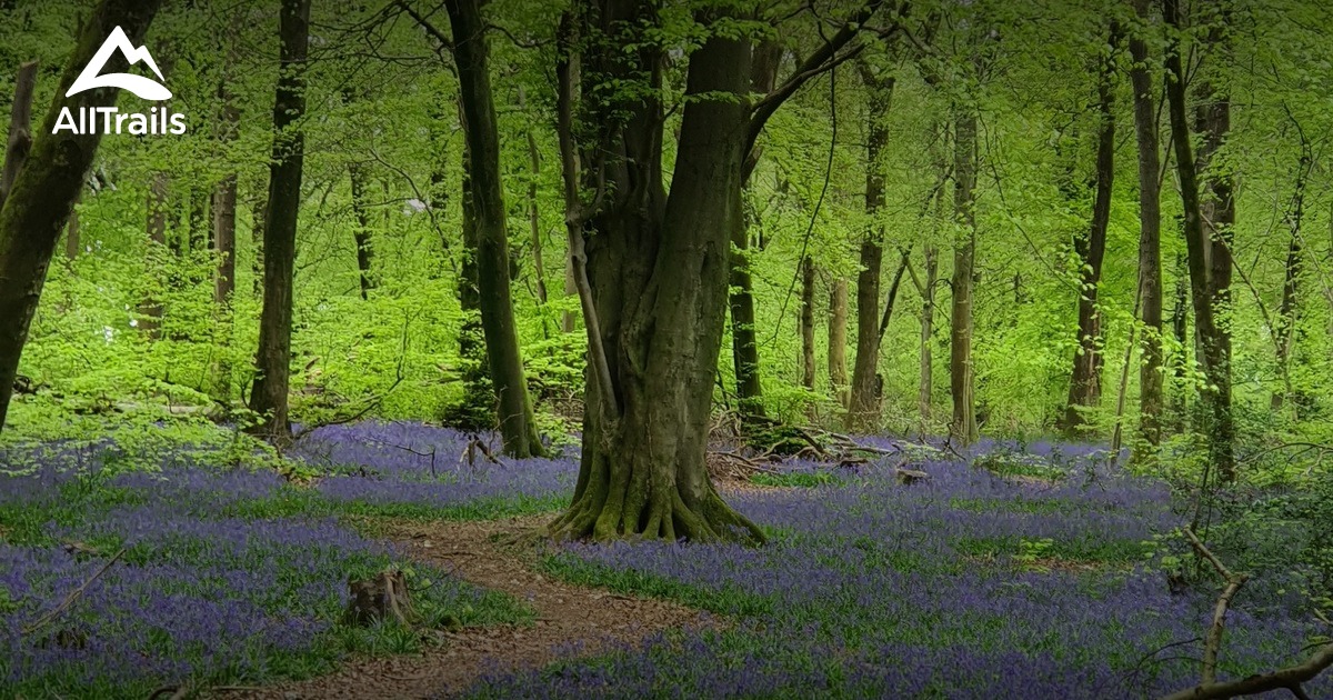 England | List | AllTrails