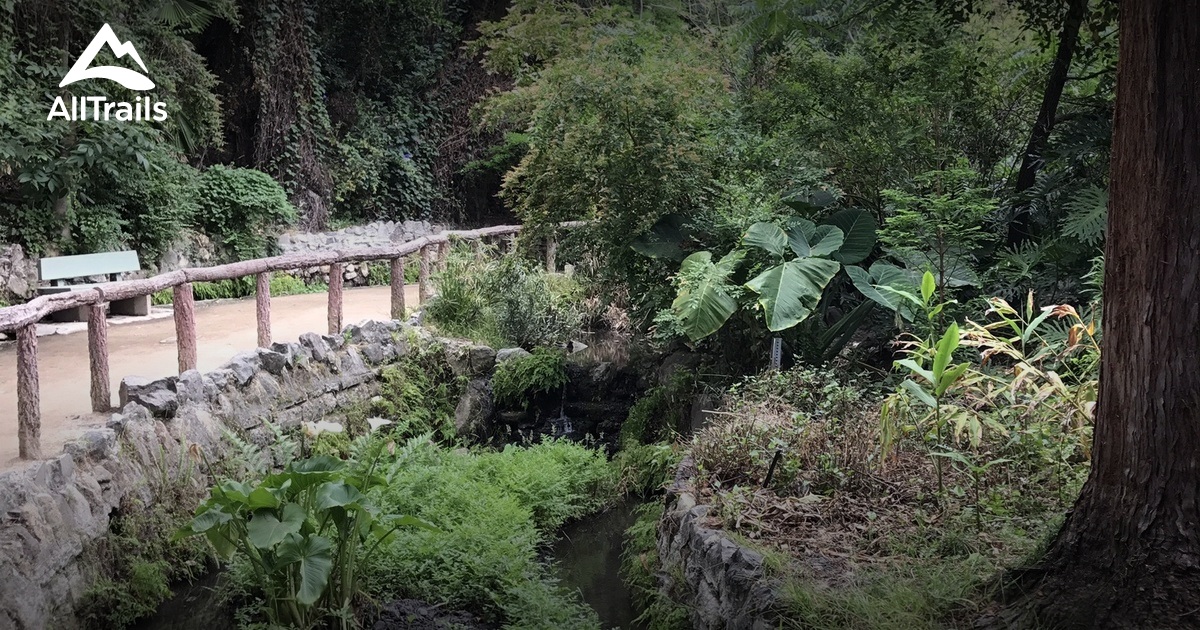 LA Bucket | List | AllTrails