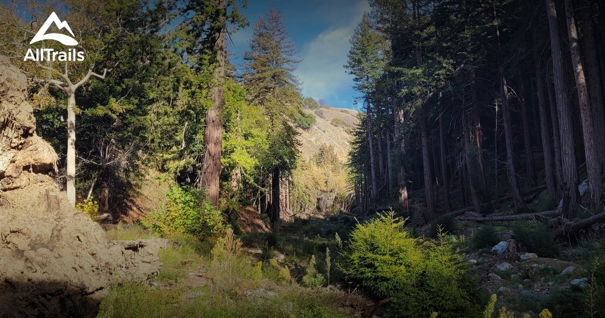 Fort Hunter Liggett trails | List | AllTrails