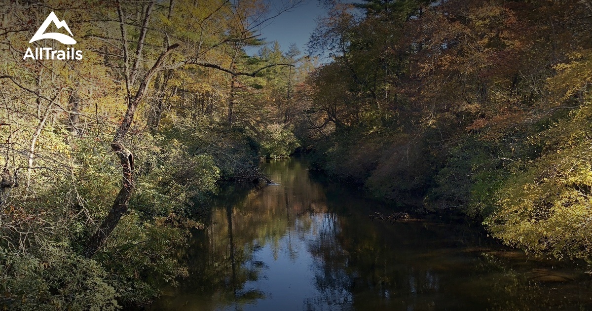 Dupont state forest NC | List | AllTrails