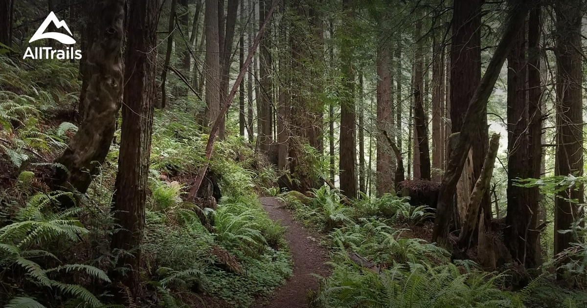 Half moon bay trails | List | AllTrails