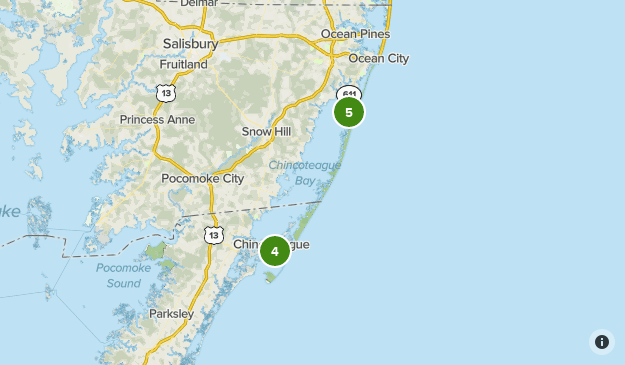 Assateague Island | List | AllTrails