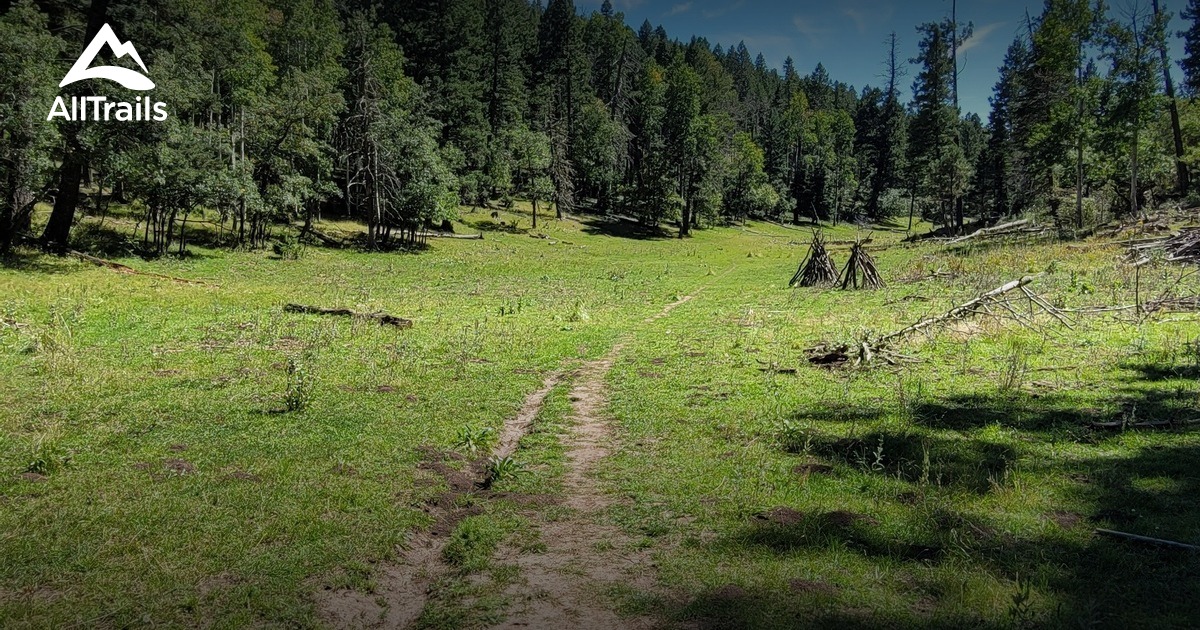 Cloudcroft | List | AllTrails