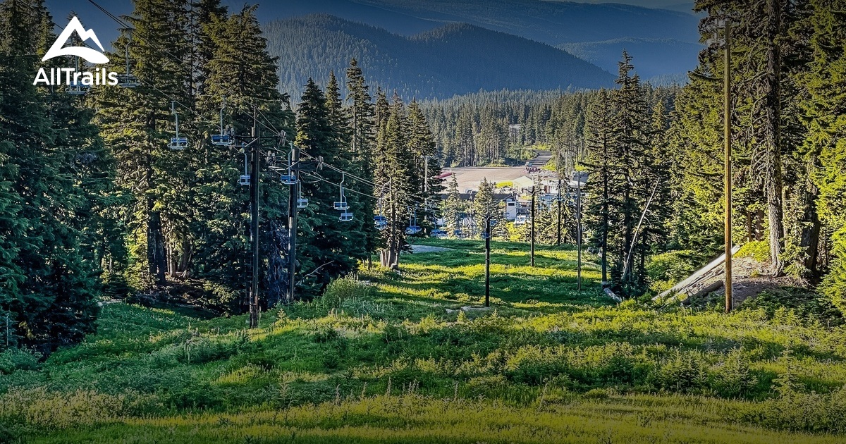 Timberline trail | List | AllTrails