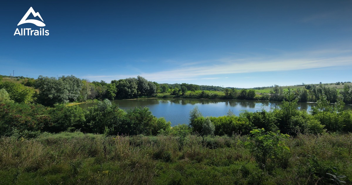 North Maple Regional Park | List | AllTrails