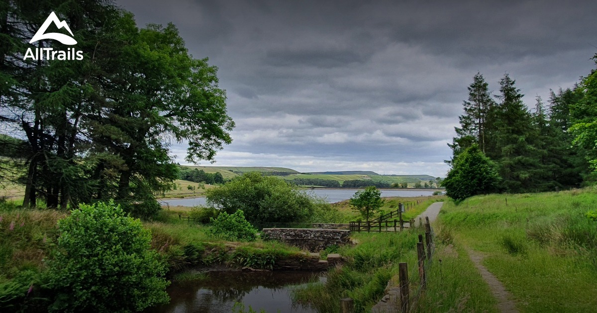 Shroom Routes | List | AllTrails