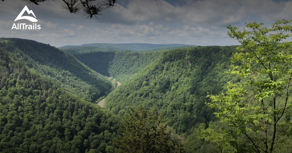 Tioga State Forest (PA Grand Canyon) | List | AllTrails