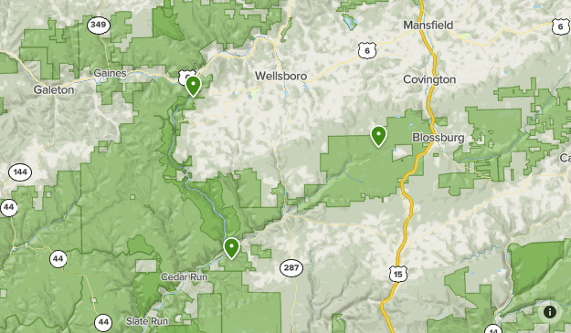 Tioga State Forest (PA Grand Canyon) | List | AllTrails