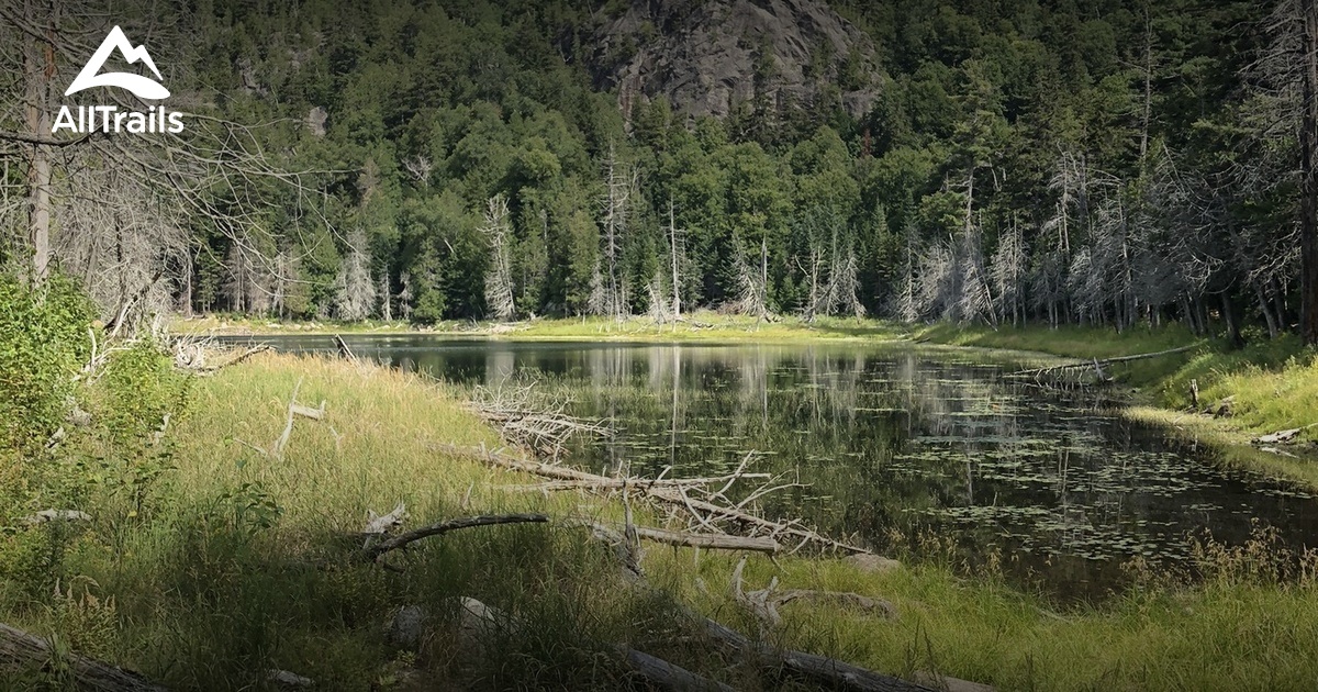 46 Peaks | List | AllTrails