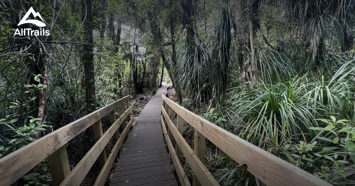 2023 Walks | List | AllTrails