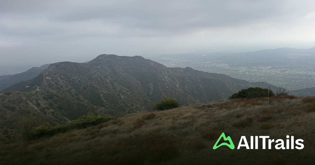 Glendale - Whiting Woods | List | AllTrails