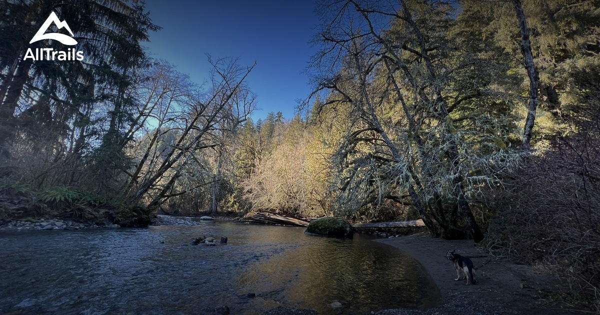 Short local hikes | List | AllTrails