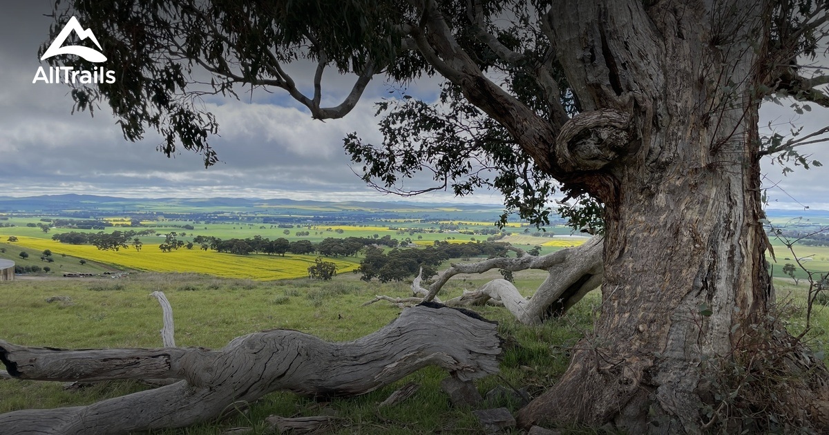 Clare Valley Wine and Wilderness Trail | List | AllTrails