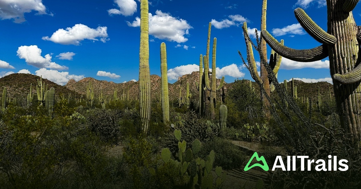 WNP's 10 Accessible Trails in National Parks | List | AllTrails