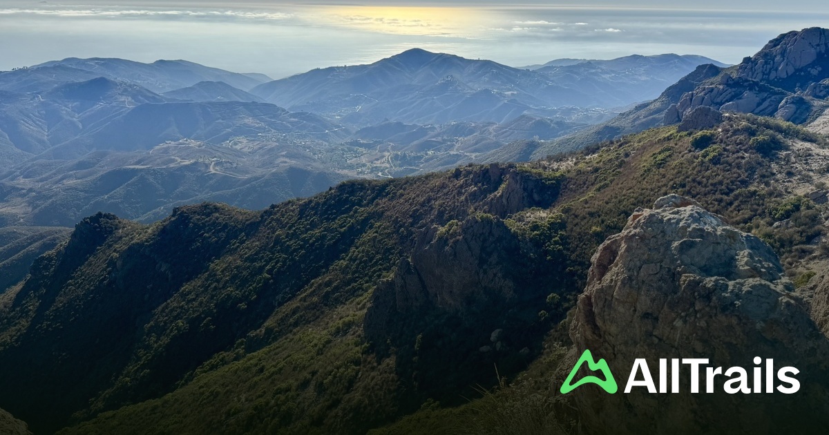 SAMO Fund 2025 Trail Challenge! | List | AllTrails