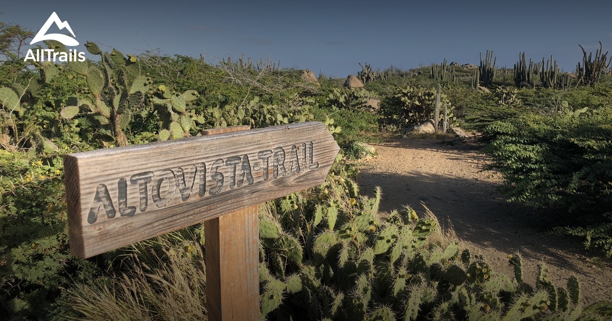 Best Trails, Walks, and Paths in Noord/Tanki Leendert | AllTrails