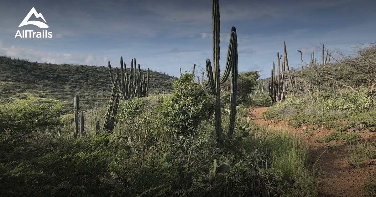 10 Best trails and hikes in Savaneta | AllTrails