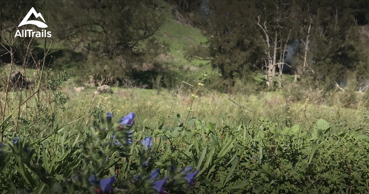 Best trails in Denman Prospect, Australian Capital Territory | AllTrails