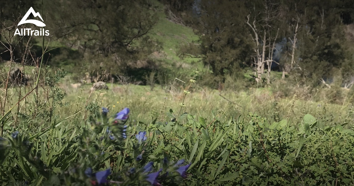 10 Best trails and hikes in Denman Prospect | AllTrails