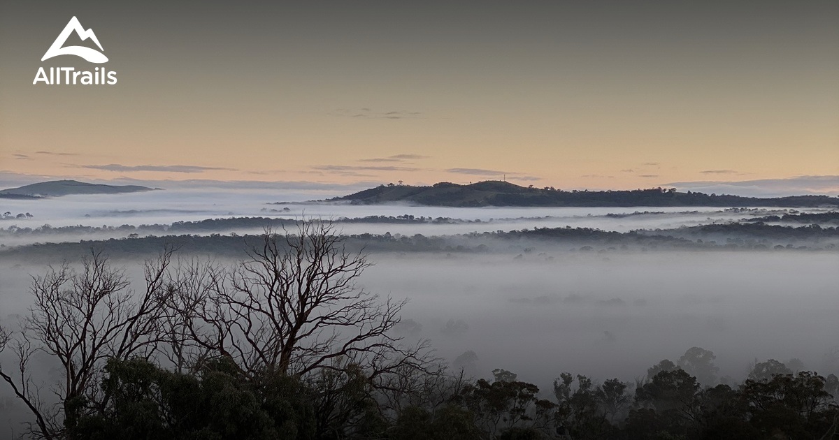 Best forest trails in Throsby | AllTrails