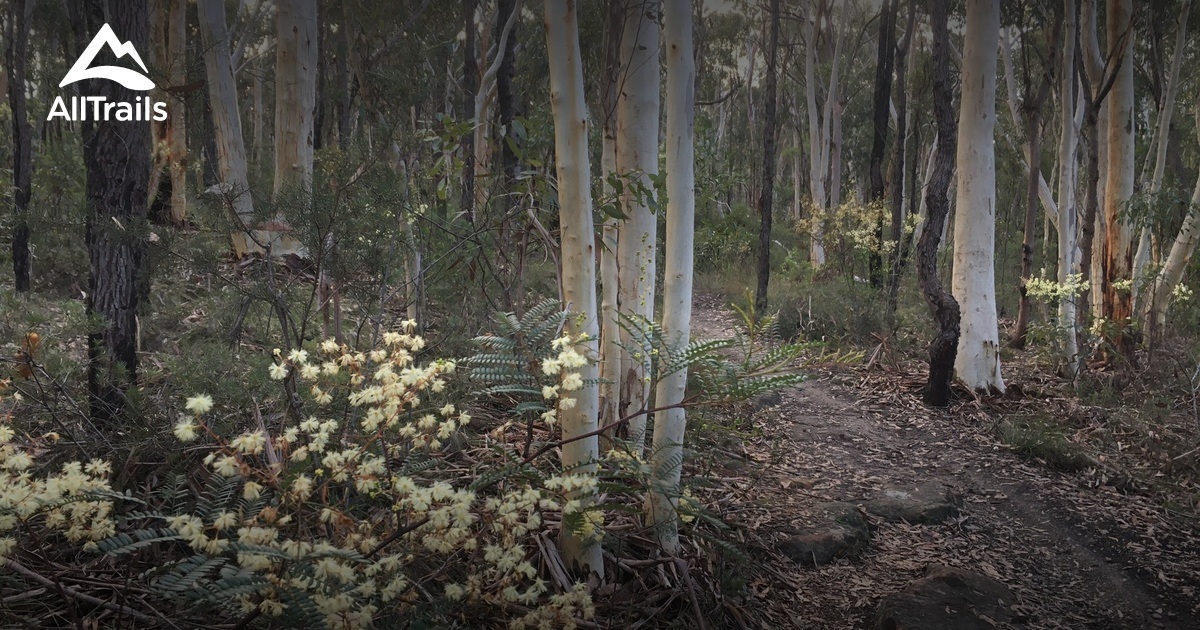 Best hikes and trails in Appin | AllTrails