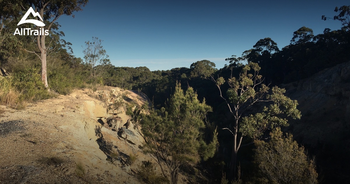 Best hikes and trails in Awaba | AllTrails