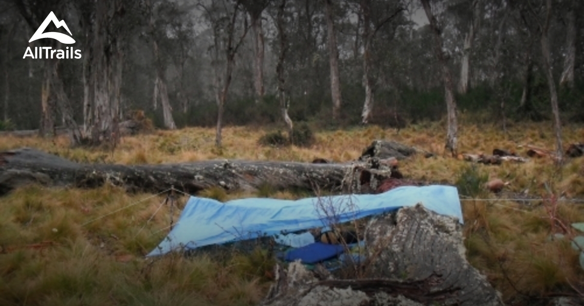 Best camping trails in Barrington Tops | AllTrails