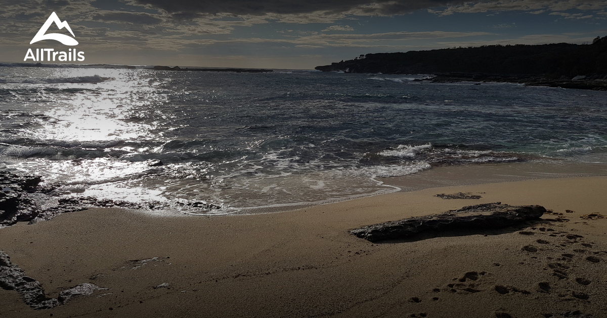 Beecroft Peninsula : les meilleurs itinéraires pour camper | AllTrails