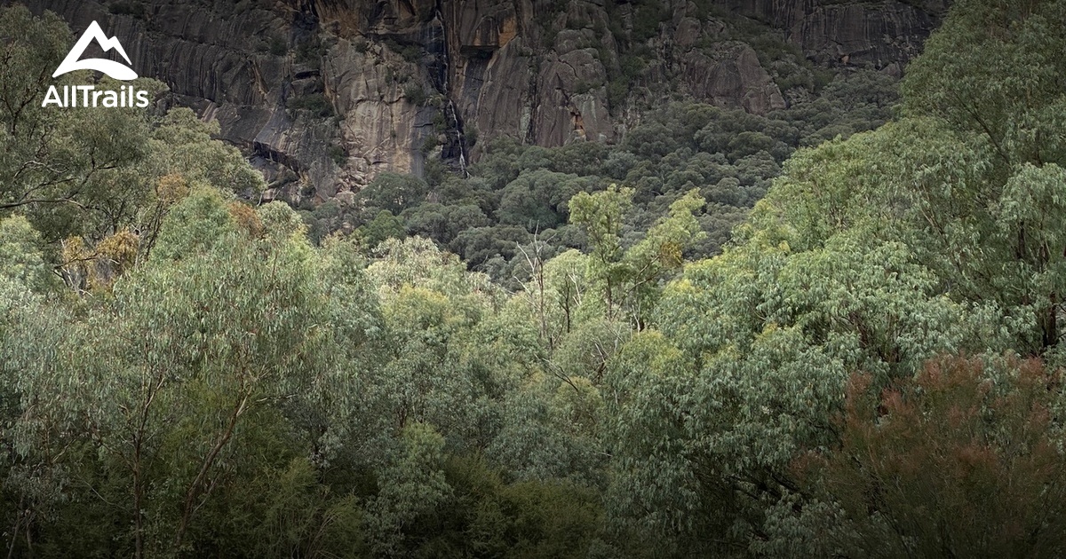 Best hikes and trails in Blowering | AllTrails